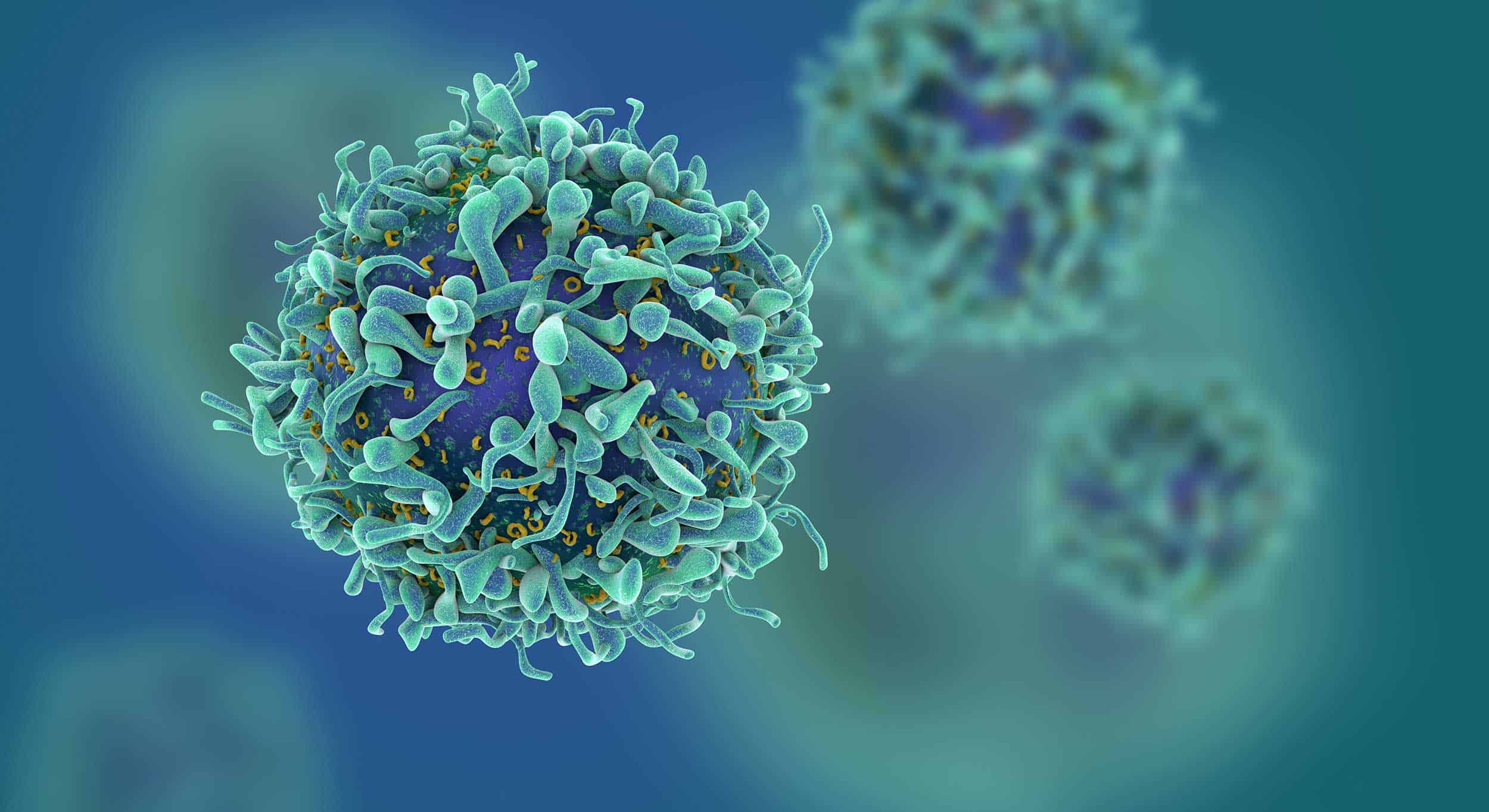 eumunys | Autoimmunerkrankungen ganzheitlich behandeln